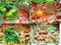 豇豆馅饺子怎么调馅好吃_豇豆饺子馅要不要焯水