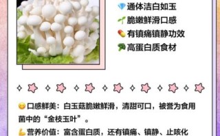 白菇的功效与作用_白菇怎么做好吃