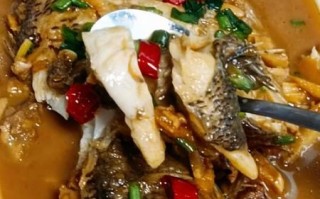 红烧鲈鱼怎么做才好吃_正宗做法窍门