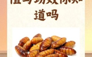 蚕蛹的营养价值_蚕蛹的副作用有哪些