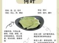 荷叶的功效与作用及用量_荷叶减肥一天喝多少克