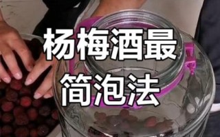 杨梅酿酒怎么做_杨梅酒要泡多久