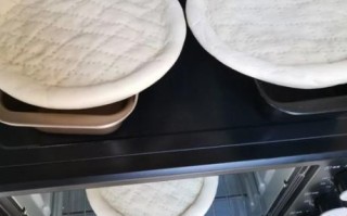 在家做披萨用什么面粉_披萨面团怎么发酵