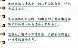 杨梅怎么洗才能洗干净_泡酒前处理步骤