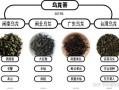乌龙茶和红茶的区别_哪个更适合减肥