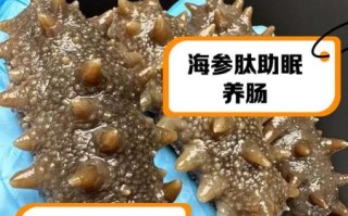 海参肽价格多少钱一盒_海参肽价格为什么差距大