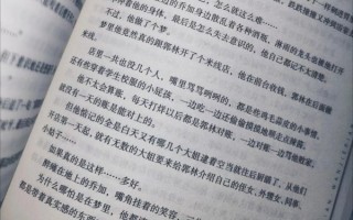 过桥米线小说讲了什么_结局是he还是be