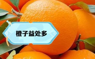 女人吃橙子的好处有哪些_每天吃橙子会胖吗