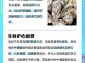 生蚝补肾是真的吗_生蚝能提高性功能吗