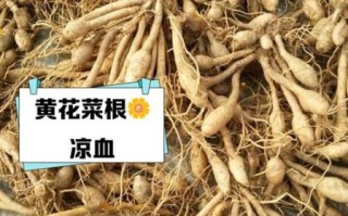 黄花菜煮水喝的功效与作用_黄花菜煮水有什么禁忌