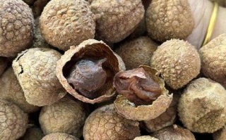 荔枝干怎么吃_荔枝干一天吃几颗