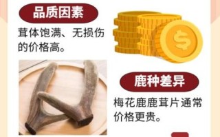 鹿茸价格2021最新价格_多少钱一克