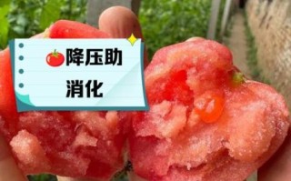 生菜的功效与作用禁忌_番茄可以一起吃吗