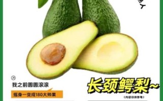 鳄梨图片多少钱一斤_鳄梨价格行情