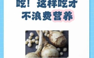 马蹄怎么吃_马蹄生吃还是熟吃好