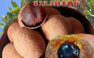 龙眼干怎么晒才好吃_龙眼干晒制技巧