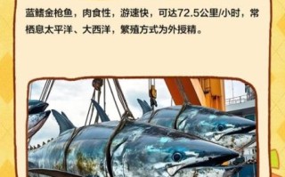 蓝鳍金枪鱼一条大概多少钱_蓝鳍金枪鱼价格影响因素