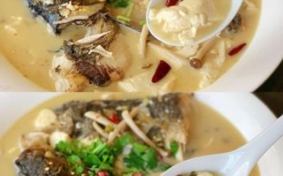 鲢鱼头豆腐汤怎么做_鲢鱼头豆腐汤的家常做法