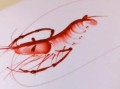 果酱画虾怎么做_果酱画虾用什么果酱