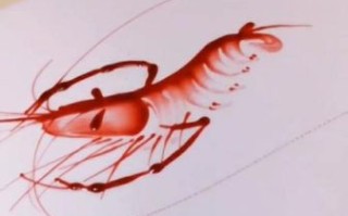 果酱画虾怎么做_果酱画虾用什么果酱