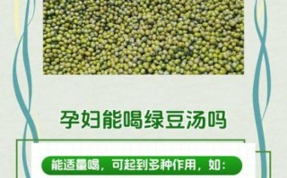 冰绿豆汤的功效与禁忌_孕妇能喝吗
