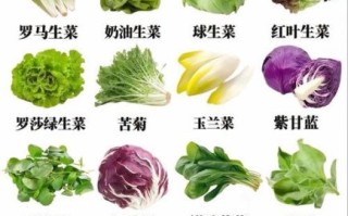 蔬菜种类100种图片大全_哪些蔬菜适合新手种植