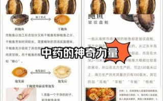 小孩吃鲍鱼有什么好处_鲍鱼对小孩功效与作用