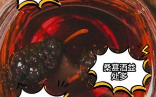 桑葚泡酒的比例是多少_桑葚酒怎么泡才正确