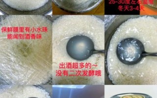 怎样做醪糟_醪糟的做法大全