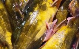 黄嘎鱼怎么做好吃_黄嘎鱼的家常做法