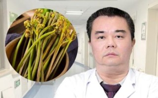 蕨菜致癌吗是真的吗_蕨菜还能不能吃
