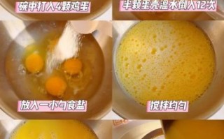 蒸鸡蛋羹家常做法_鸡蛋羹怎么蒸才嫩滑