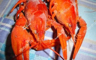 how_to_cook_spicy_crayfish_at_home _ authentic_sichuan_mala_crayfish_recipe