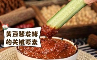 黄豆酱怎么做好吃_家庭自制黄豆酱窍门