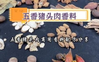 五香酱猪肉怎么做_五香酱猪肉配方比例