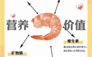 虾的营养价值及功效与作用_虾吃多了会上火吗