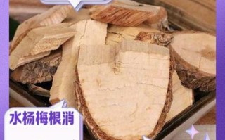 水杨梅根的功效与作用_水杨梅根怎么使用