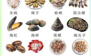 贝类大全名称_常见贝类有哪些 贝类大全名称_常见贝类有哪些