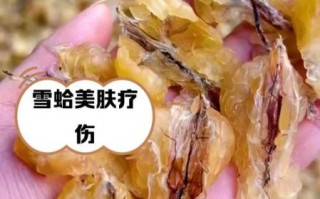 雪蛤的功效与作用_雪蛤适合什么人吃
