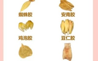 鱼胶怎么吃不腥_鱼胶去腥做法大全