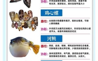 十大有毒螺有哪些_毒性排名