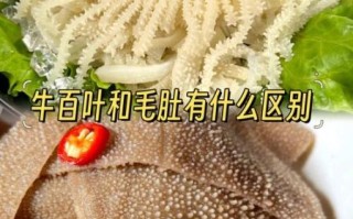 牛毛肚和牛百叶的区别_哪个更好吃