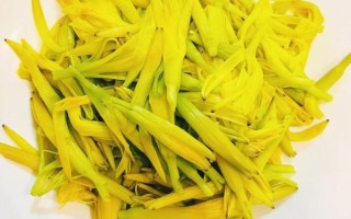 鲜黄花菜怎么焯水去毒_鲜黄花菜怎么炒才好吃