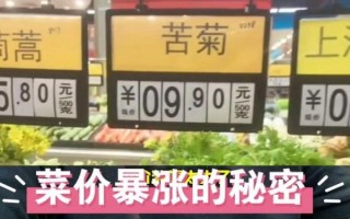 韩国土豆价格_为什么最近暴涨