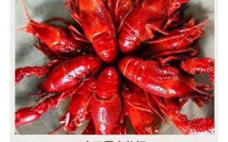 大虾多少钱一斤_今日批发价是多少