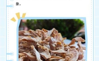 笋干发霉是什么样子_如何判断还能不能吃