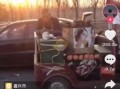 烤山药什么意思_烤山药是什么梗