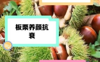 吃板栗有什么好处_吃板栗能减肥吗
