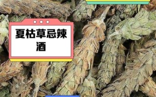 夏枯草口服液能长期喝吗_夏枯草口服液副作用