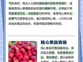 鸡心果的功效与作用_鸡心果怎么吃最好